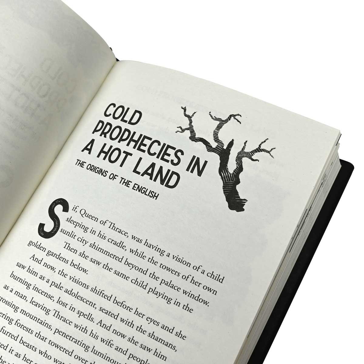 Storyland by Amy Jeffs | Waterstones