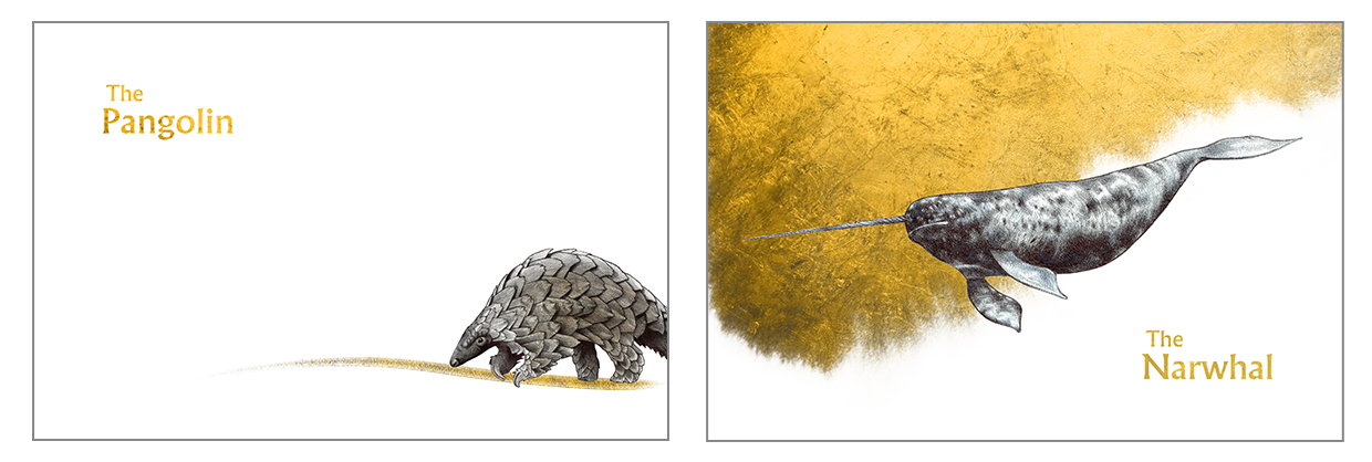 Introduction to The Golden Mole by Katherine Rundell | Waterstones.com Blog