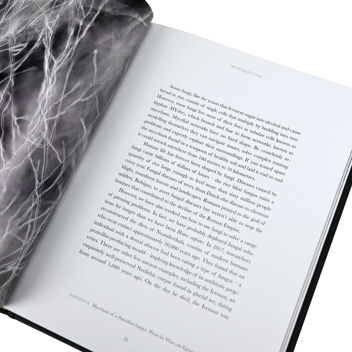 Entangled Life (The Illustrated Edition) by Merlin Sheldrake | Waterstones