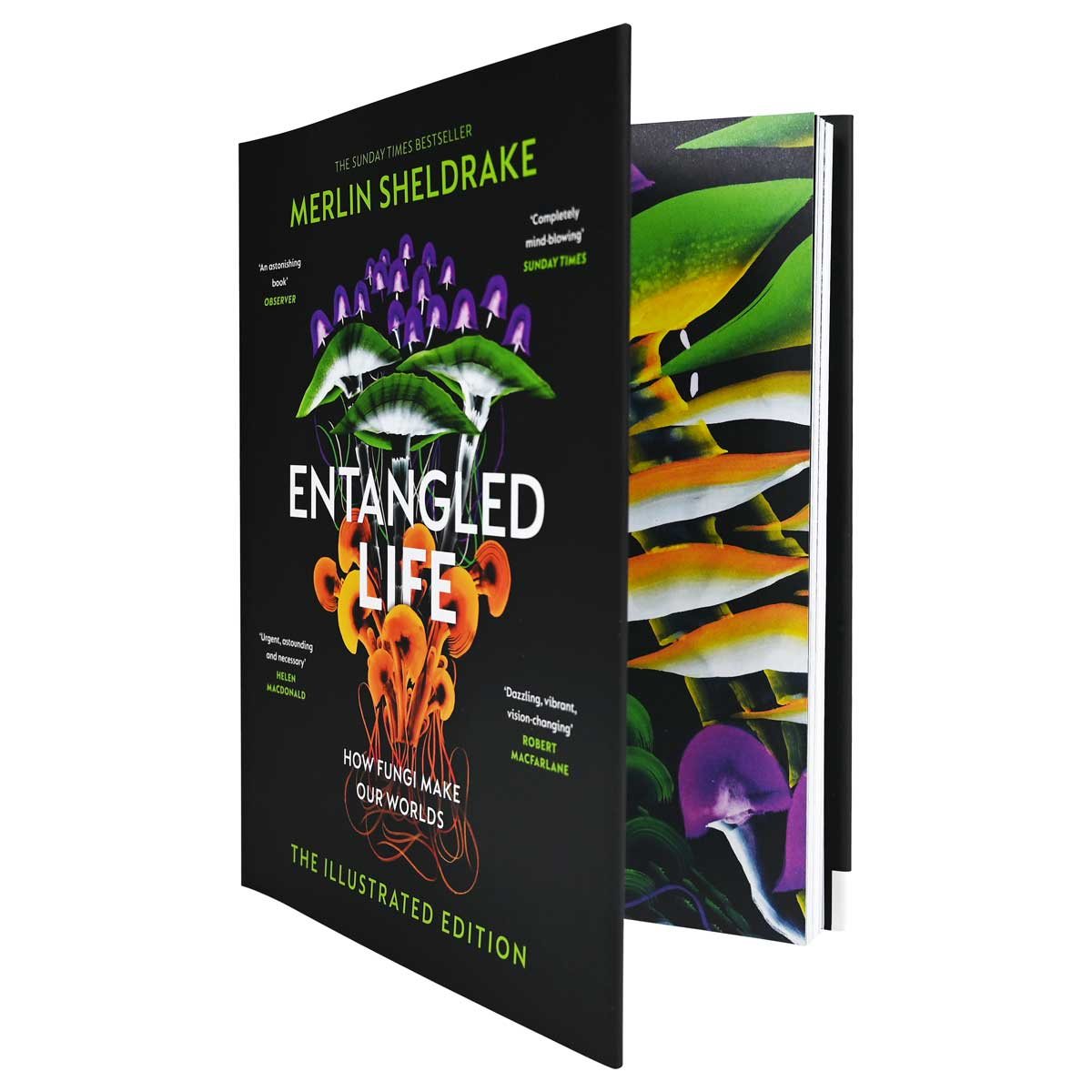 Entangled Life (The Illustrated Edition) by Merlin Sheldrake | Waterstones