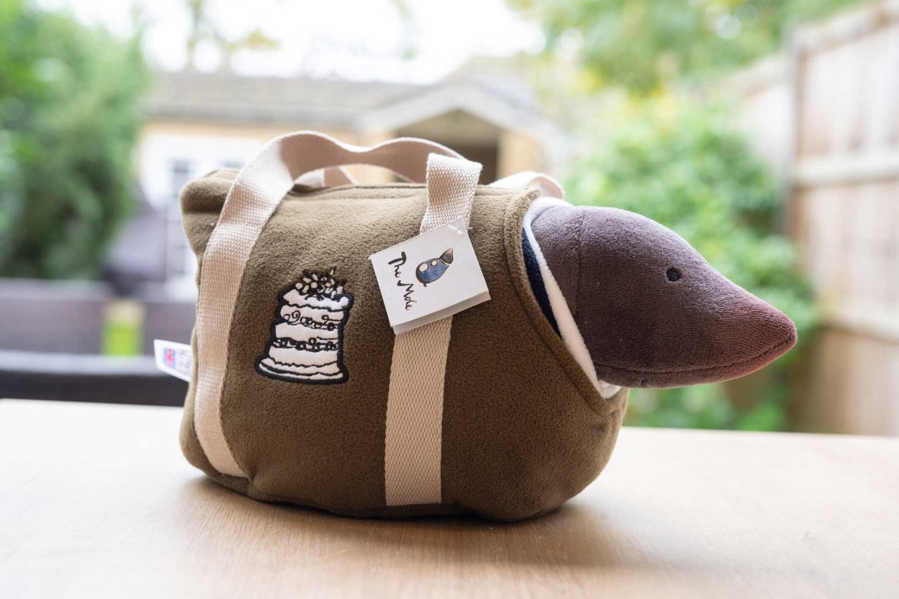 The Mole Plush | Waterstones