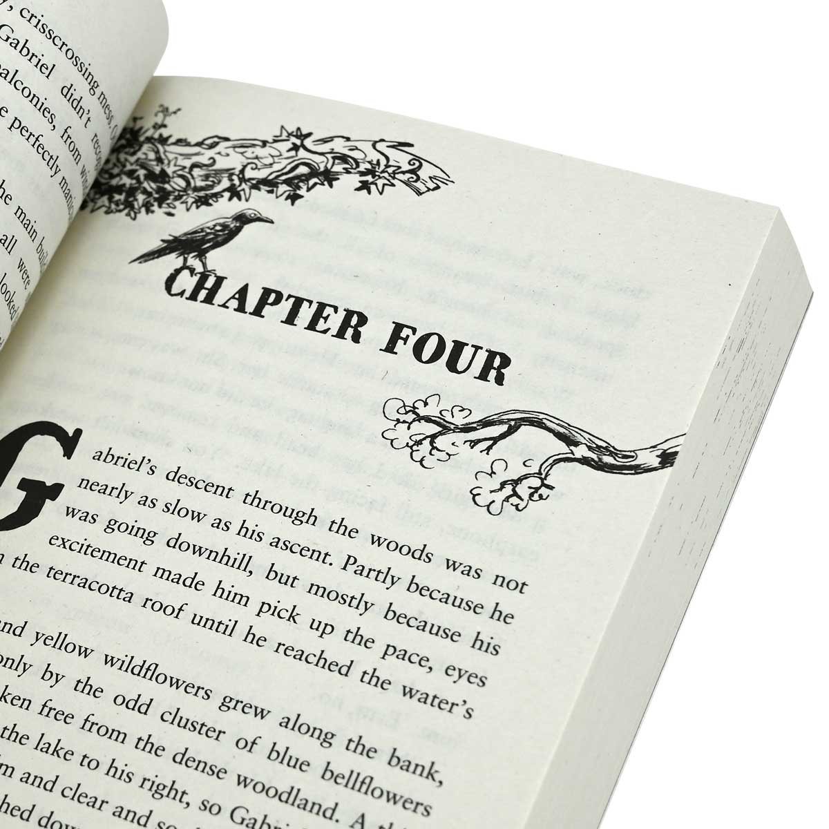 Crookhaven by J.J. Arcanjo | Waterstones