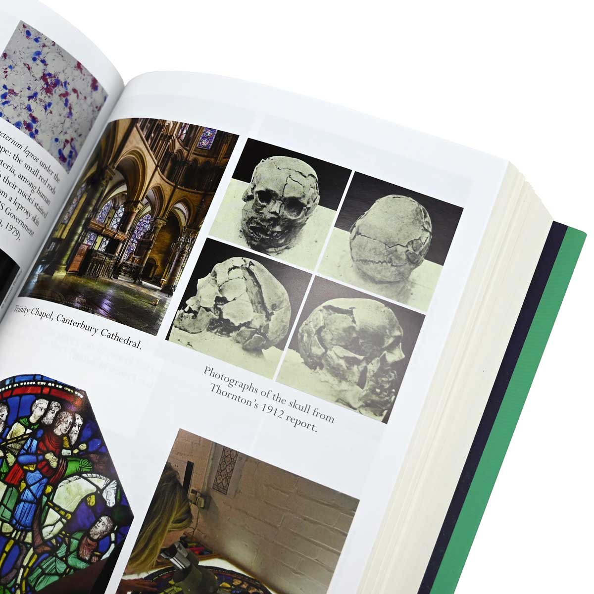 Crypt by Professor Alice Roberts | Waterstones