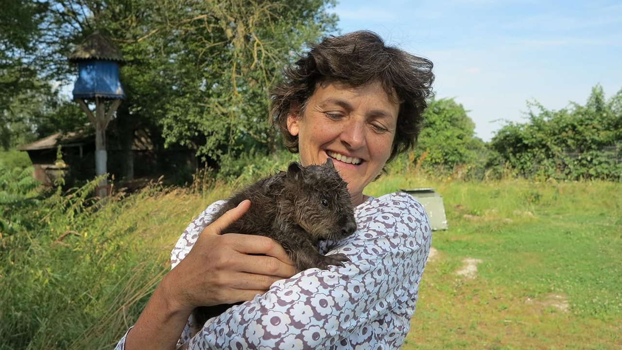 Wilding: How to Bring Wildlife Back - an Illustrated Guide by Isabella ...