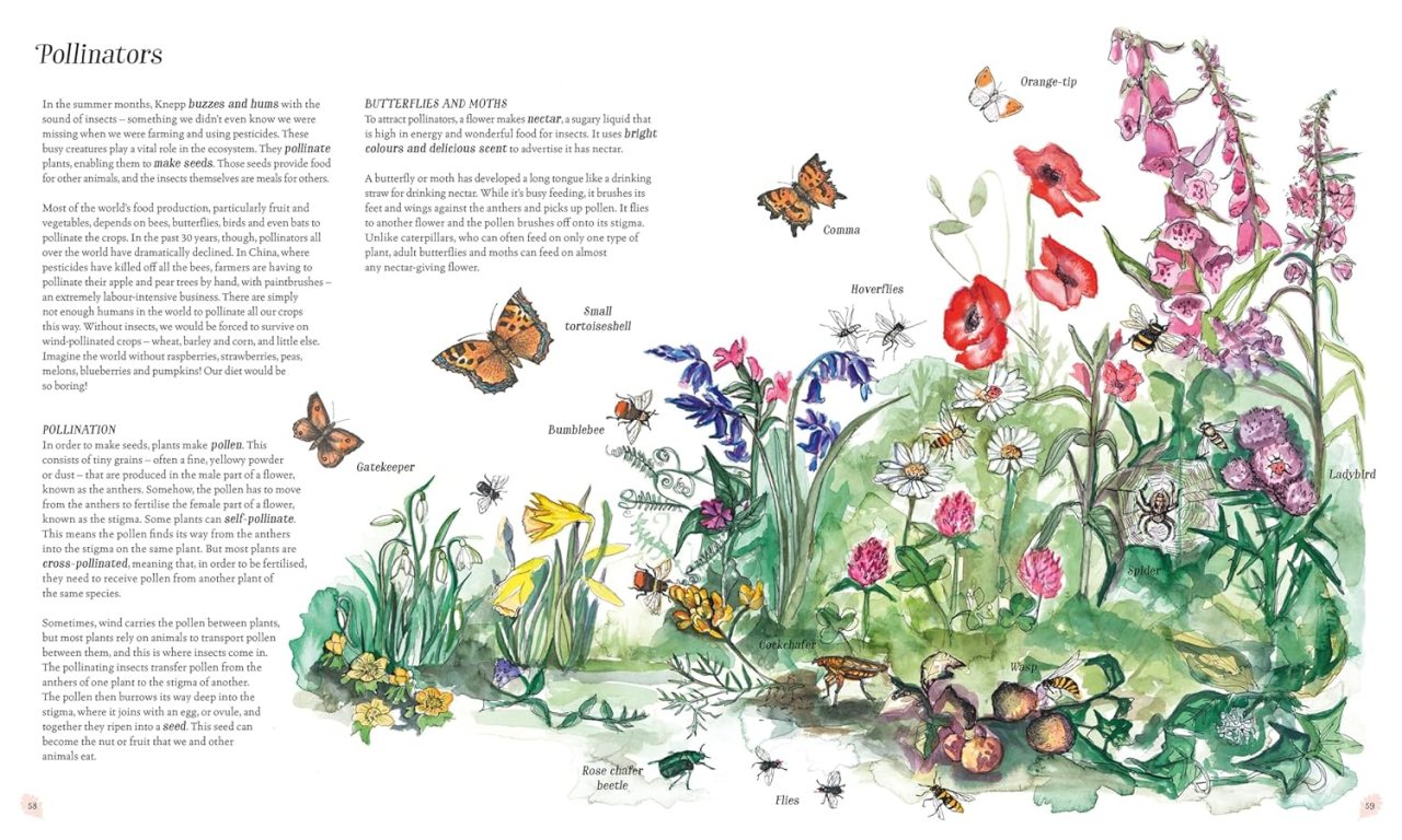 Wilding: How to Bring Wildlife Back - an Illustrated Guide by Isabella ...
