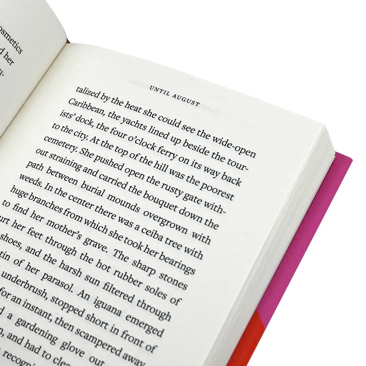 Until August | Waterstones