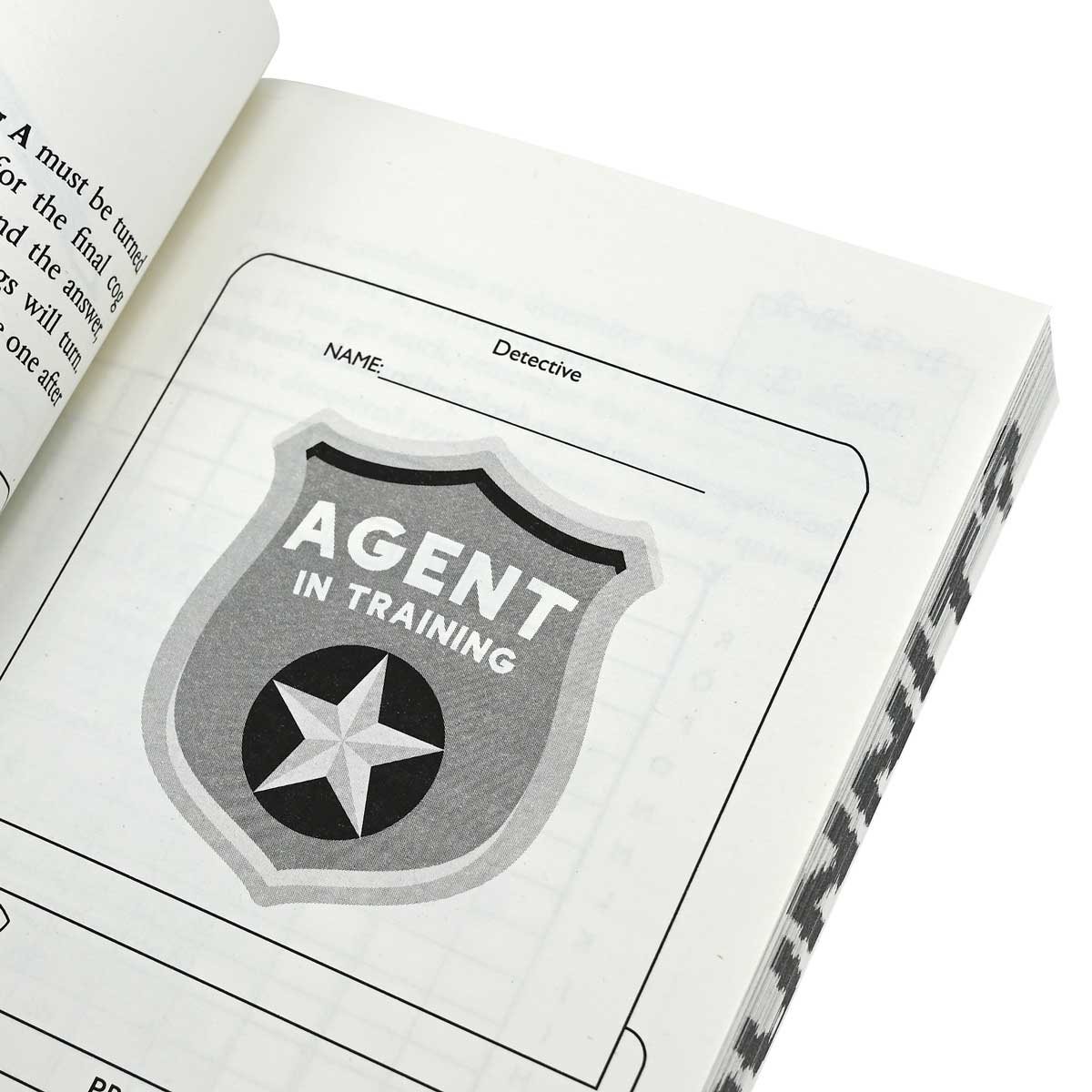 Cluedle - The Case of the Dumpleton Diamond by Hartigan Browne ...