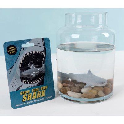Grow Your Own Shark | Waterstones