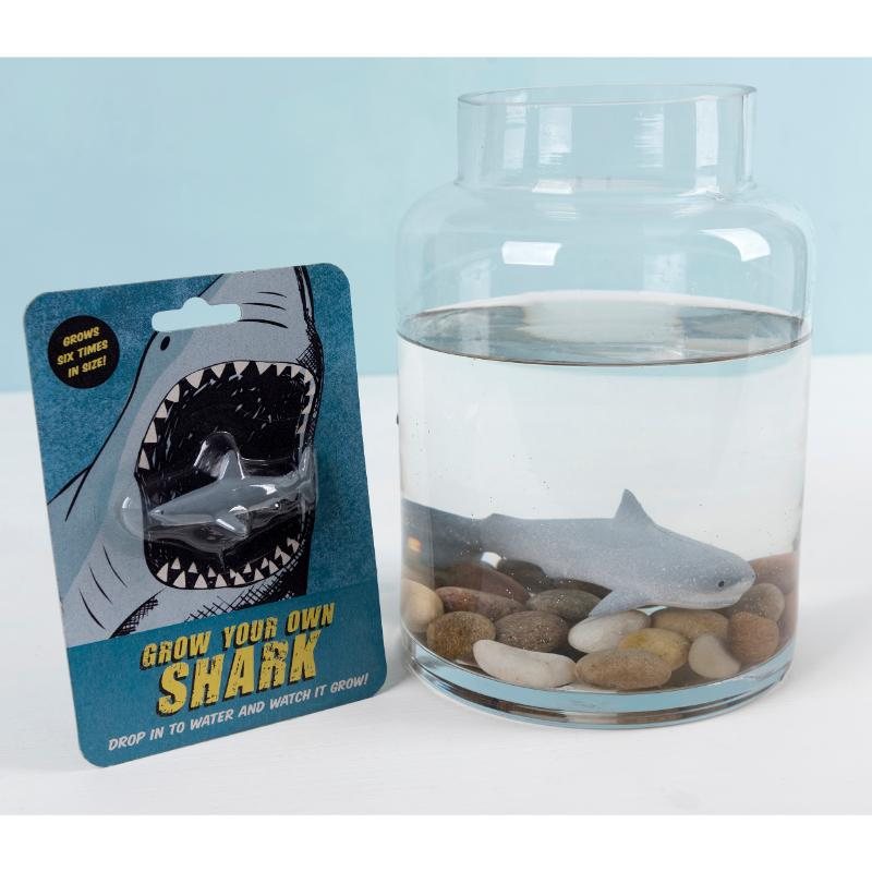 Grow Your Own Shark | Waterstones