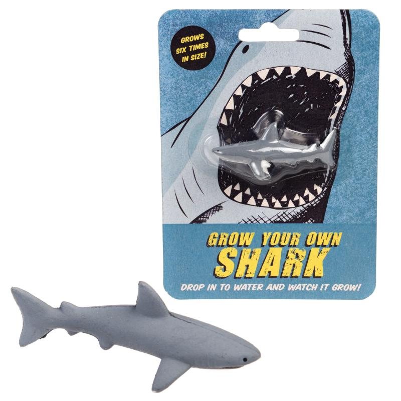 Grow Your Own Shark | Waterstones
