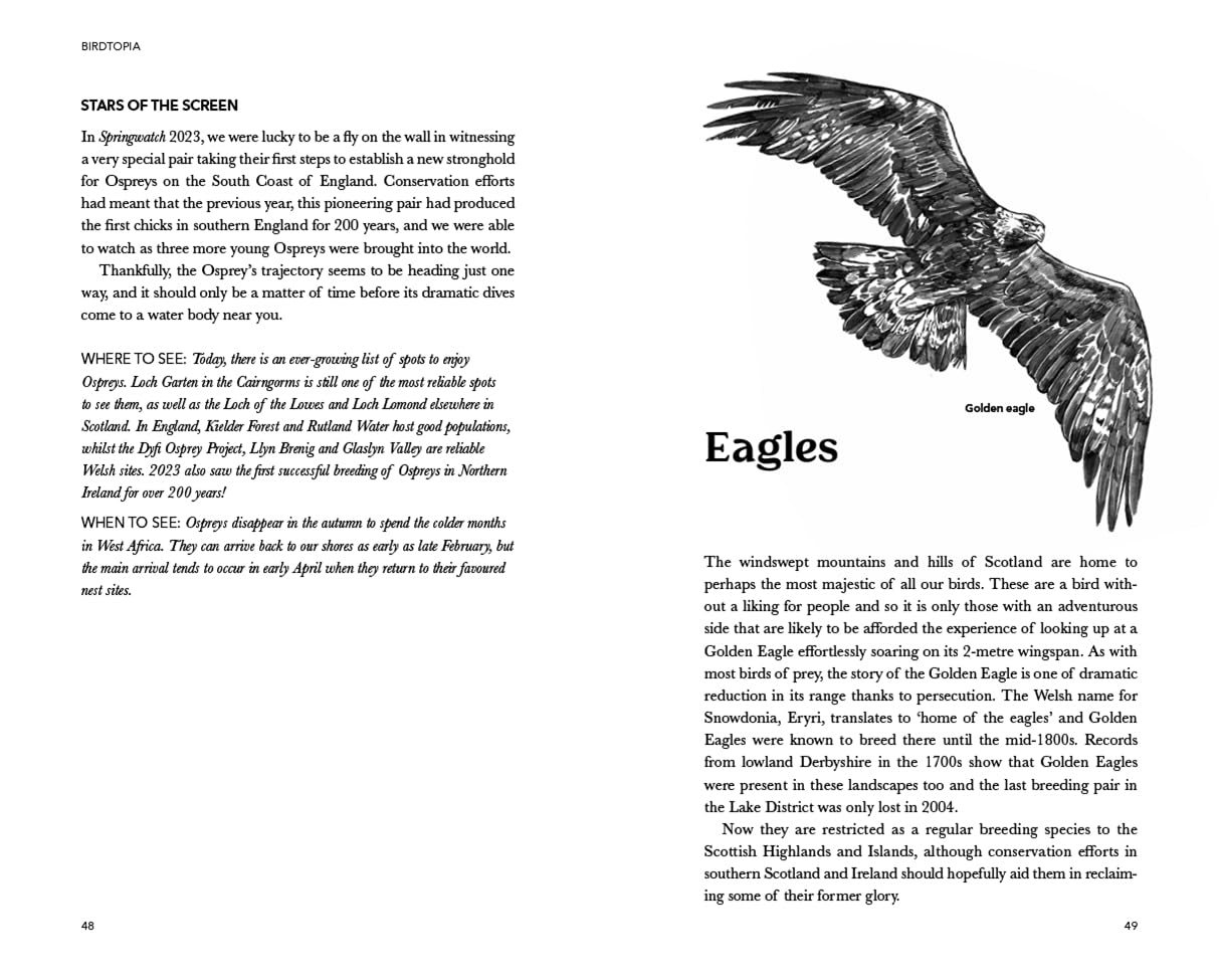 Springwatch: Birdtopia by Jack Baddams | Waterstones