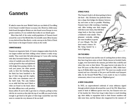 Springwatch: Birdtopia by Jack Baddams | Waterstones