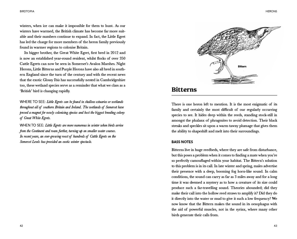 Springwatch: Birdtopia by Jack Baddams | Waterstones
