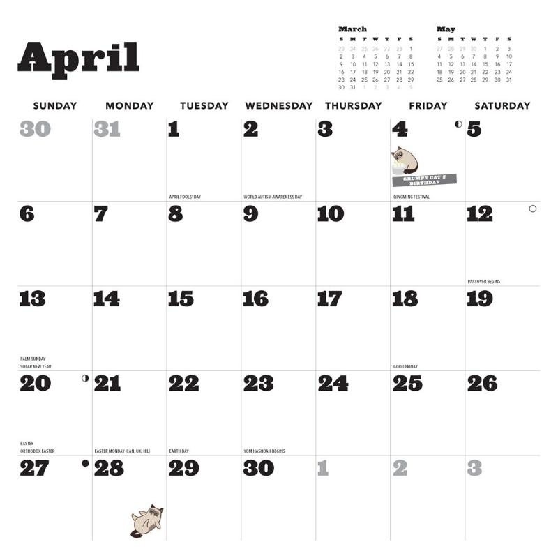 2025 Grumpy Cat Wall Calendar by Grumpy Cat | Waterstones