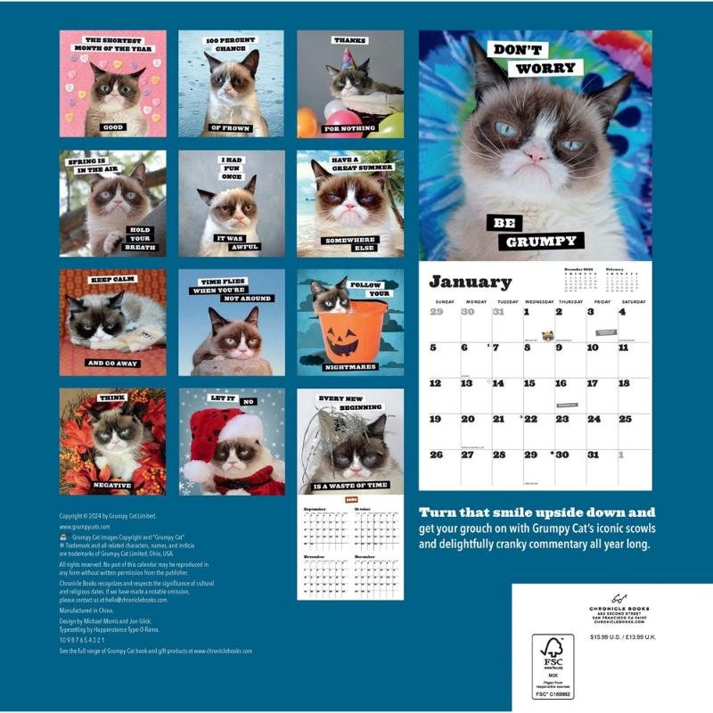 2025 Grumpy Cat Wall Calendar by Grumpy Cat | Waterstones