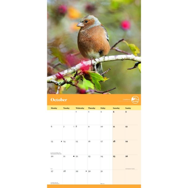 2025 Rspb Garden Birds Wall Calendar | Waterstones