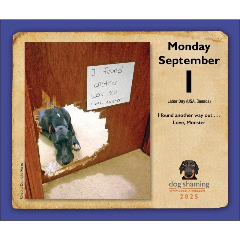 2025 Dog Shaming Boxed Calendar by Pascale Lemire, dogshaming.com ...