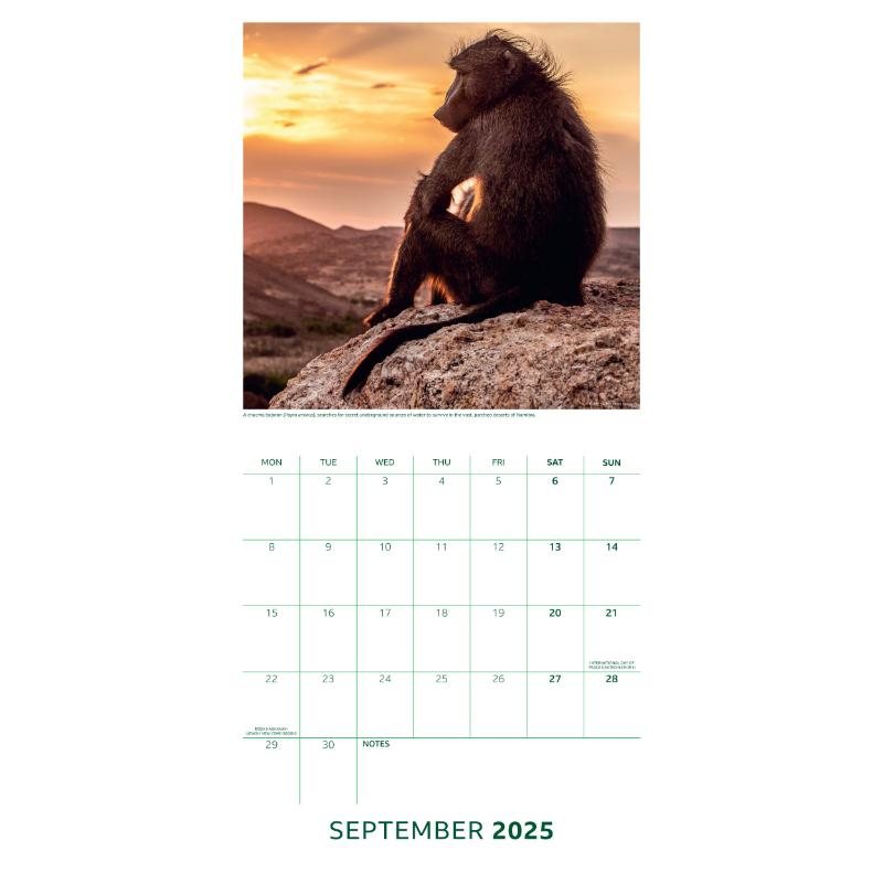2025 Planet Earth 3 Wall Calendar | Waterstones