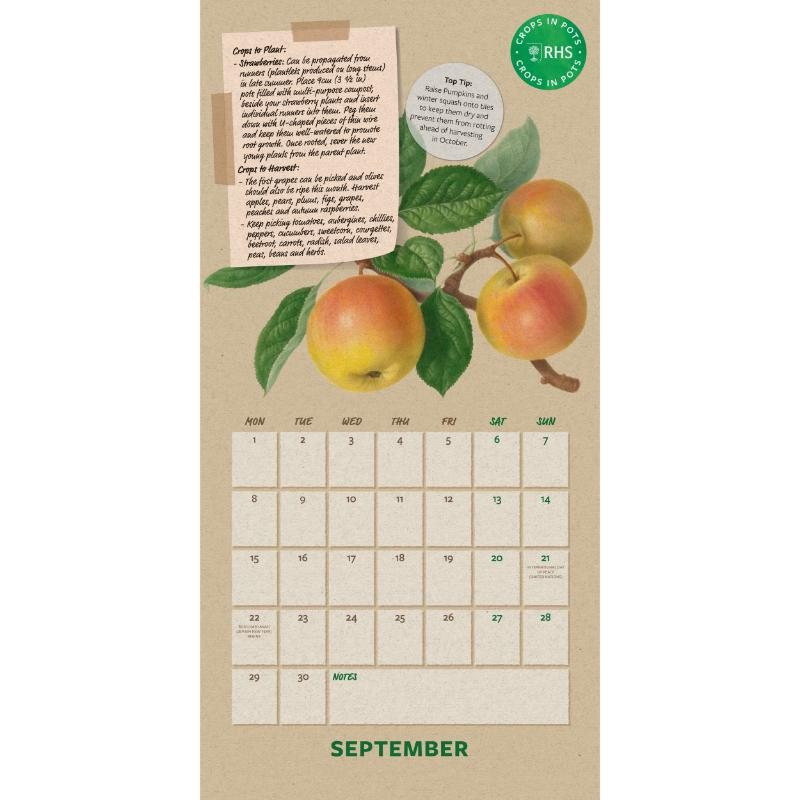 2025 Rhs Crops In Pots Mini Wall Calendar | Waterstones