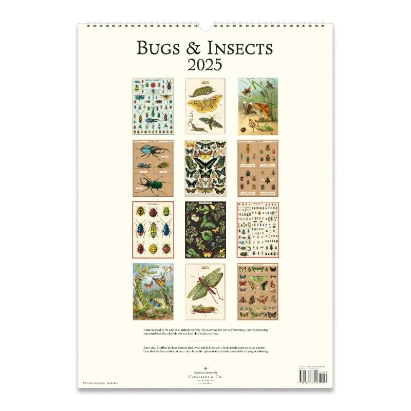 2025 Bugs & Insects A3 Wall Calendar | Waterstones