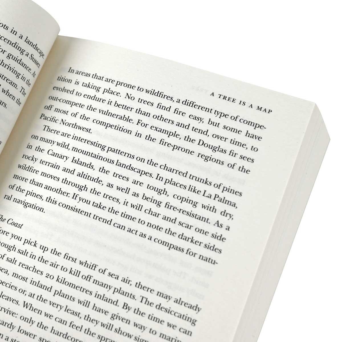 How to Read a Tree by Tristan Gooley | Waterstones