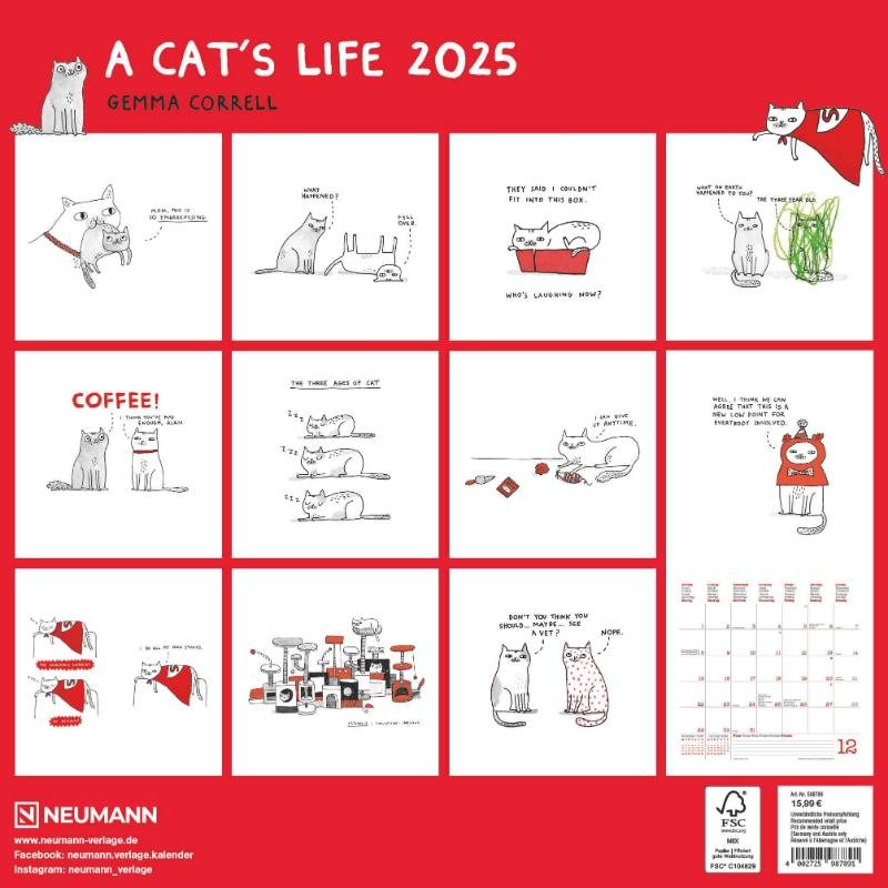 2025 A Cats Life Gemma Correll Wall Calendar | Waterstones