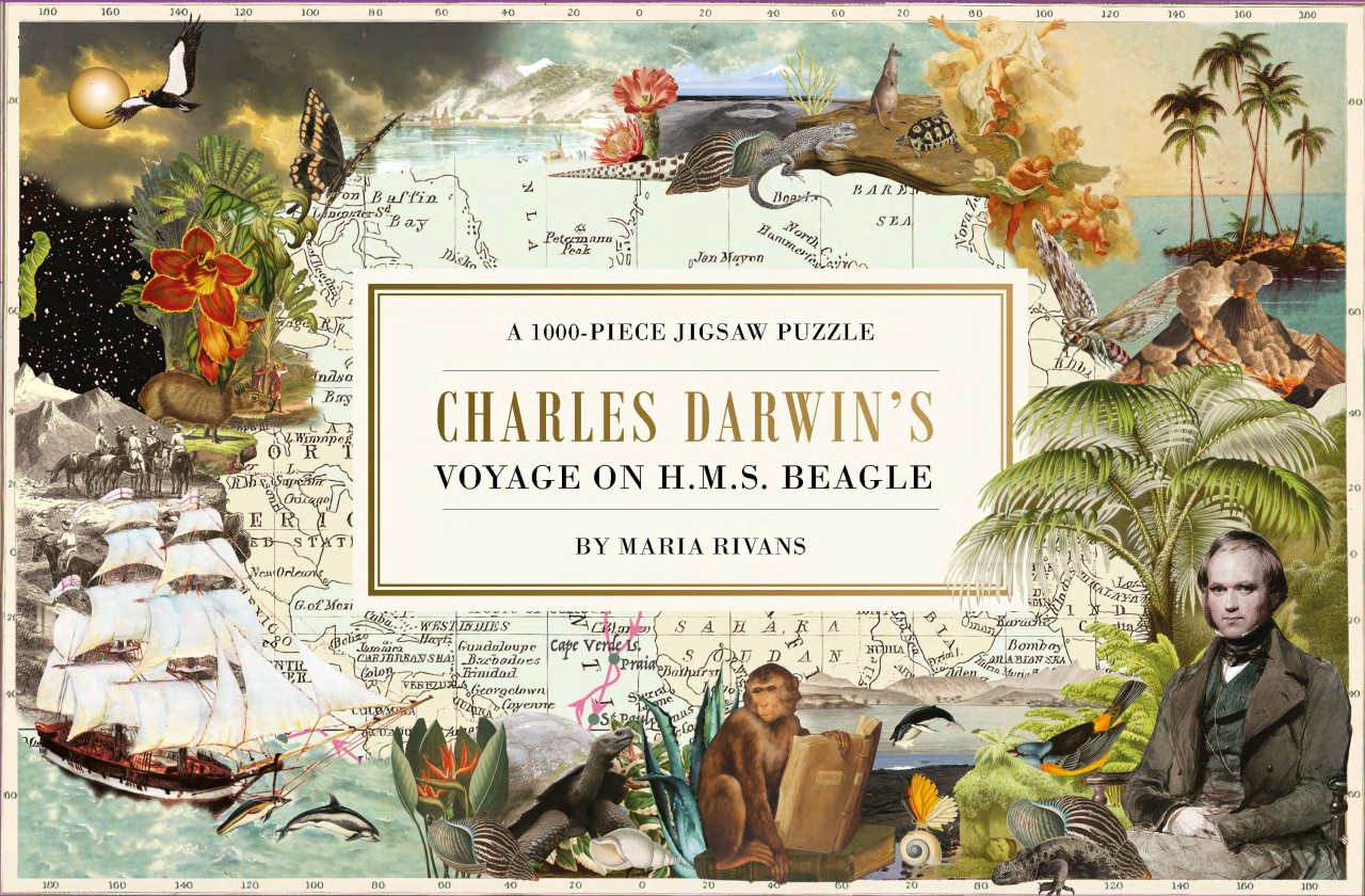 Charles Darwins Voyage 1000 Piece Jigsaw Puzzle | Waterstones