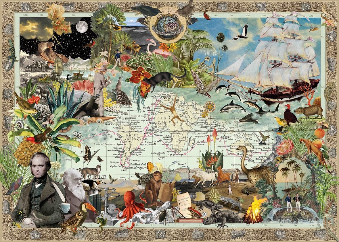 Charles Darwins Voyage 1000 Piece Jigsaw Puzzle | Waterstones