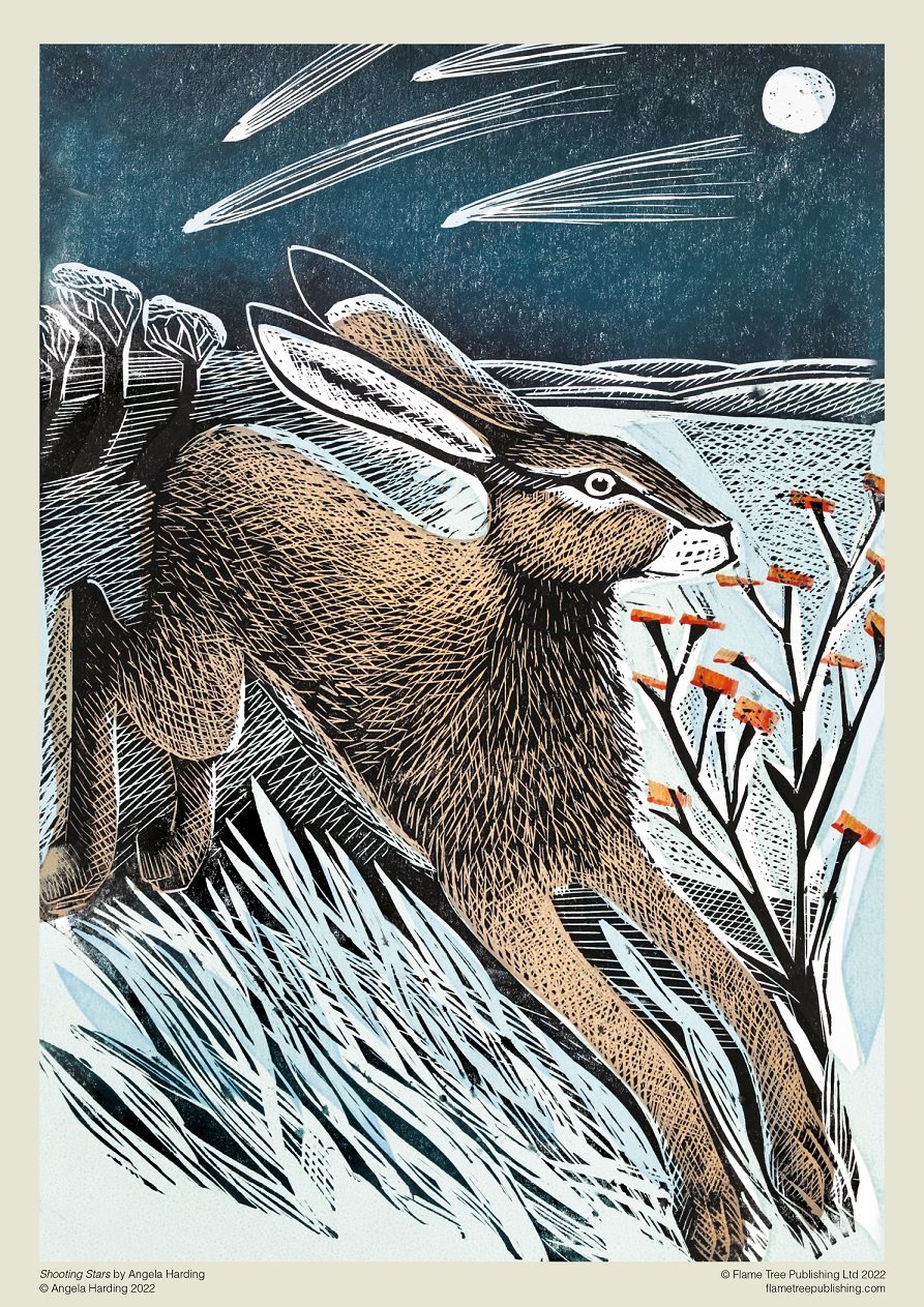 Angela Harding Shooting Stars 1000 Piece Jigsaw Puzzle | Waterstones