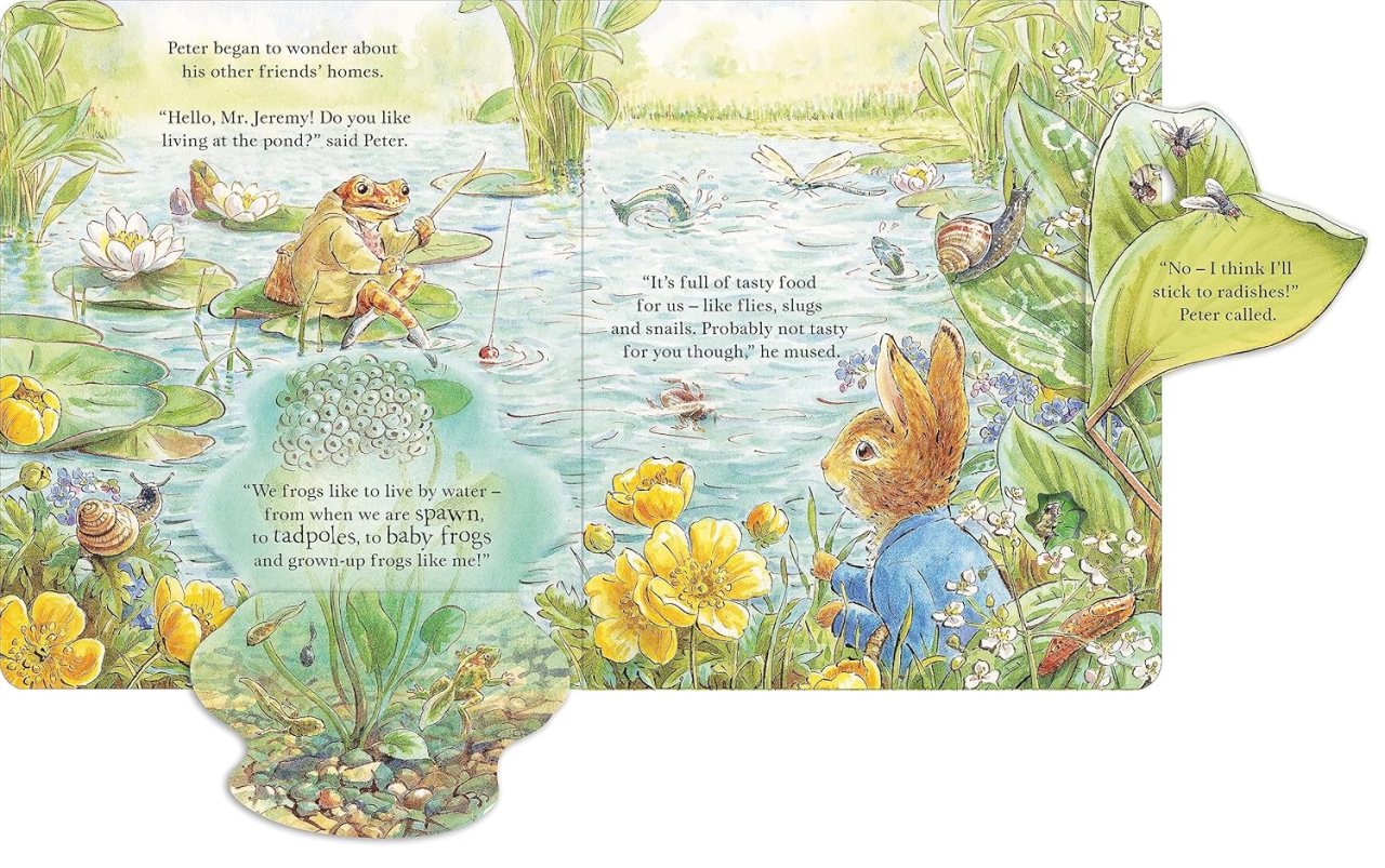 Peter Rabbit: Forest Homes A Peep-Inside Tale by Beatrix Potter ...