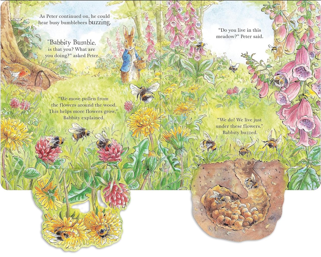 Peter Rabbit: Forest Homes A Peep-Inside Tale by Beatrix Potter ...