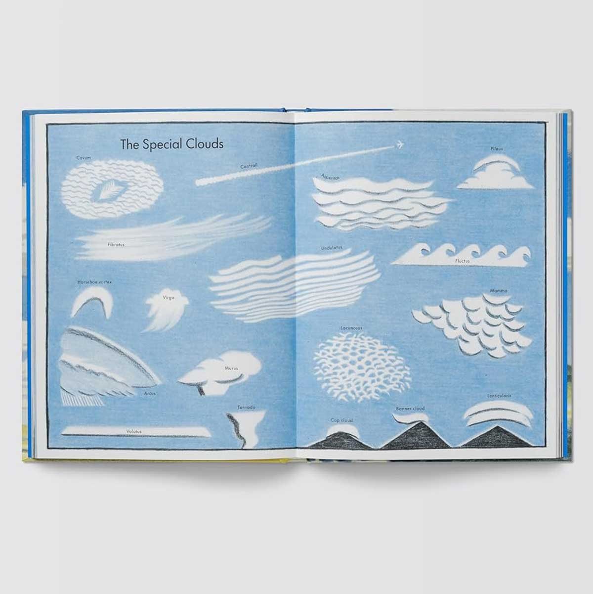 Cloudspotting For Beginners by Gavin Pretor-Pinney, William Grill ...