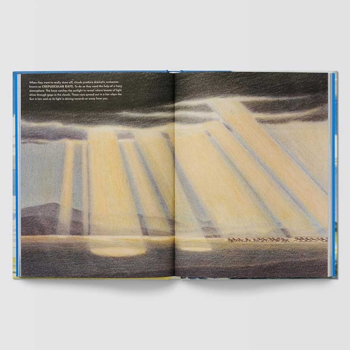 Cloudspotting For Beginners by Gavin Pretor-Pinney, William Grill ...