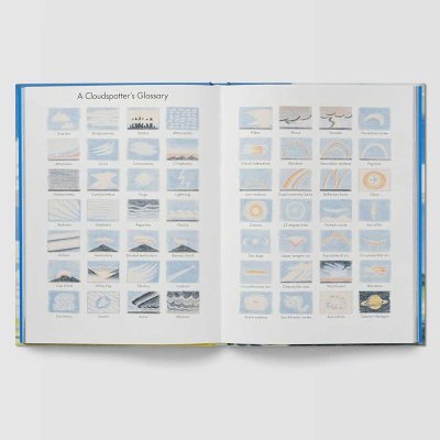 Cloudspotting For Beginners by Gavin Pretor-Pinney, William Grill ...