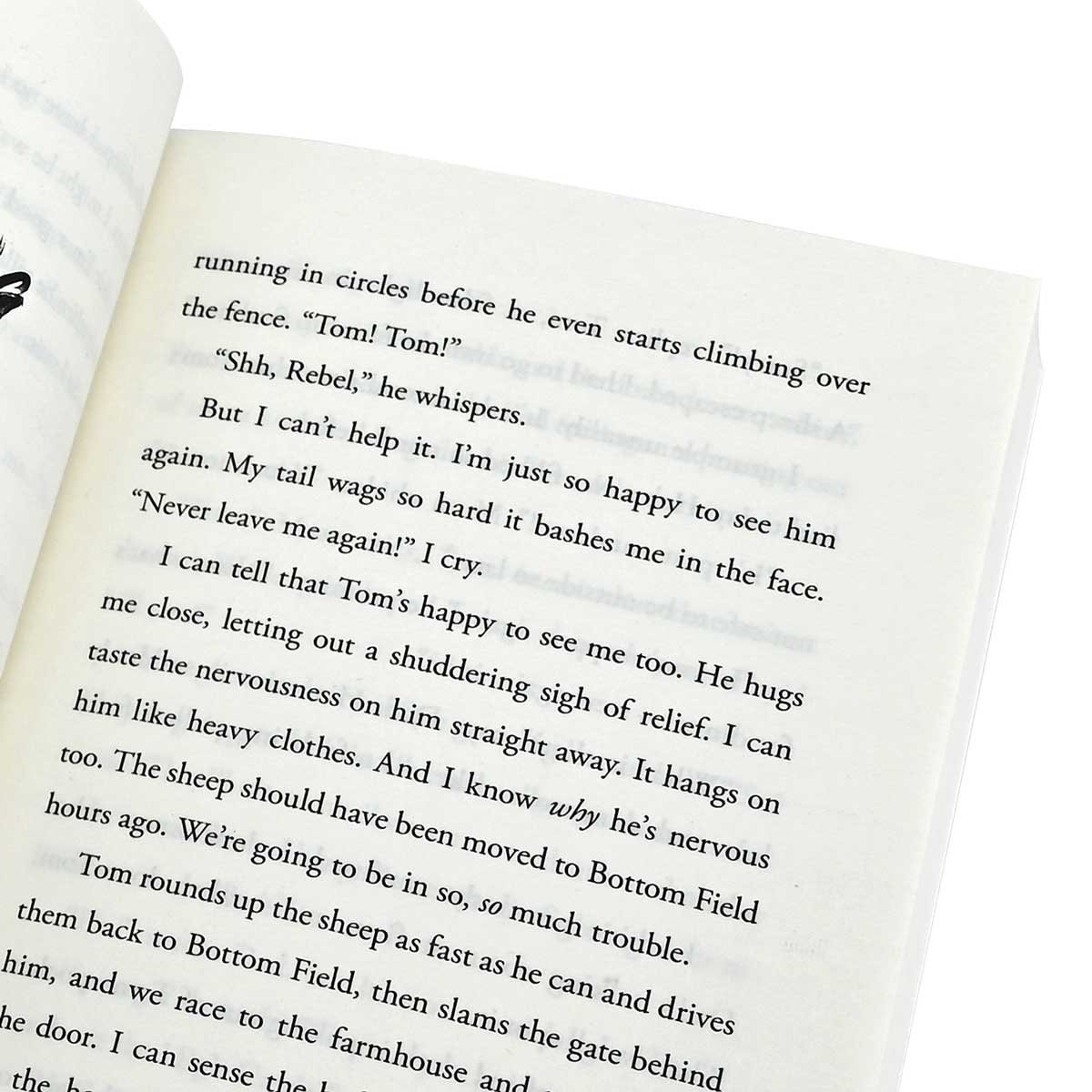 I Am Rebel by Ross Montgomery | Waterstones