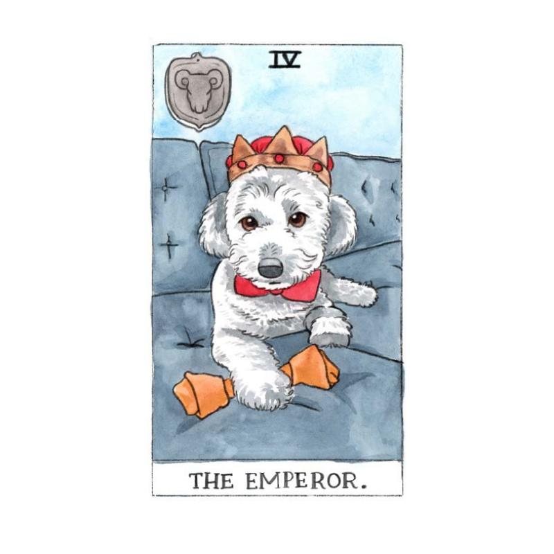 Dog Tarot by Megan Lynn Kott | Waterstones