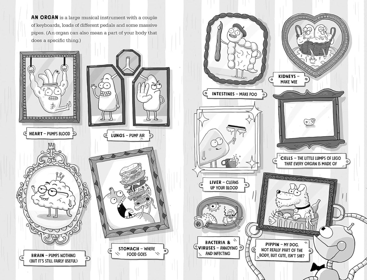 Kay's Anatomy by Adam Kay, Henry Paker | Waterstones