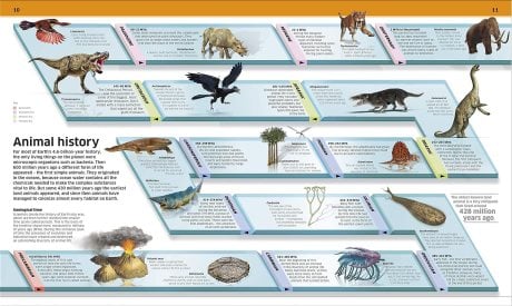 Knowledge Encyclopedia Animal! by DK, John Woodward | Waterstones