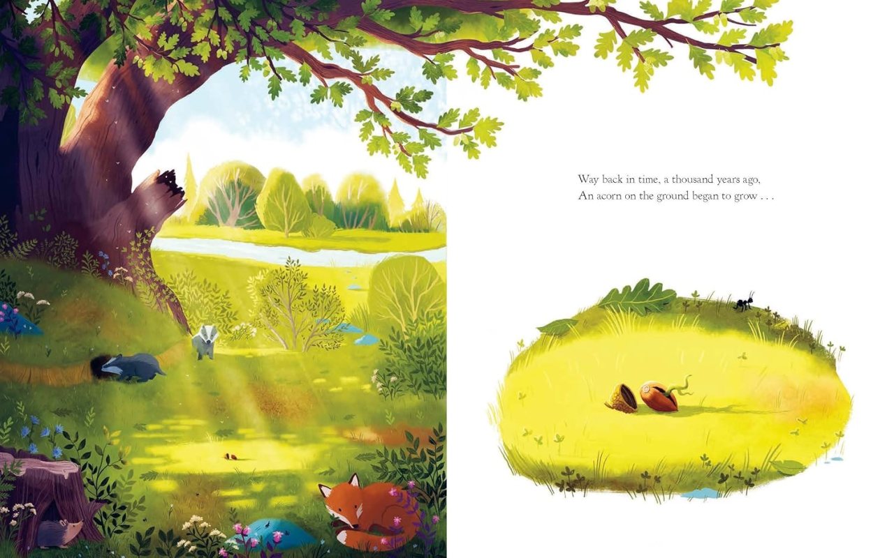 The Oak Tree by Julia Donaldson, Victoria Sandøy | Waterstones