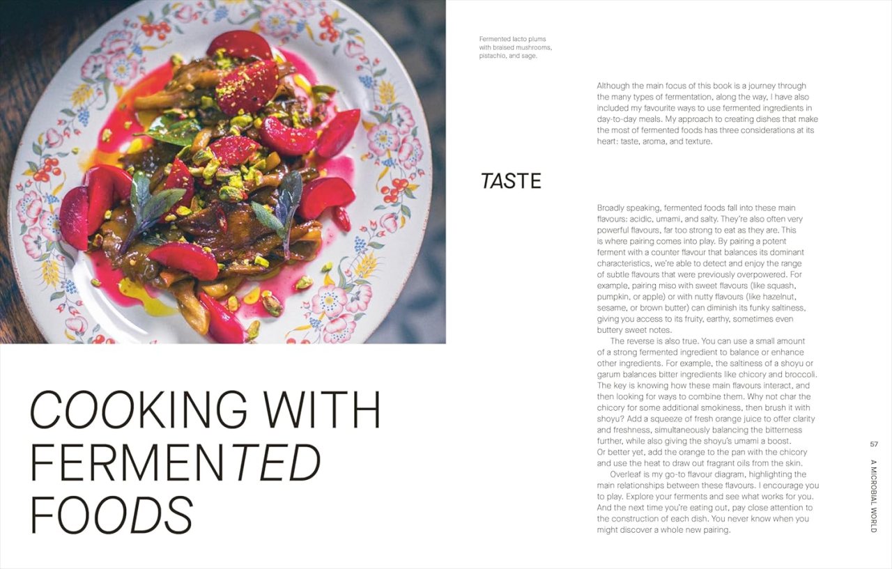 The Fermentation Kitchen by Sam Cooper | Waterstones