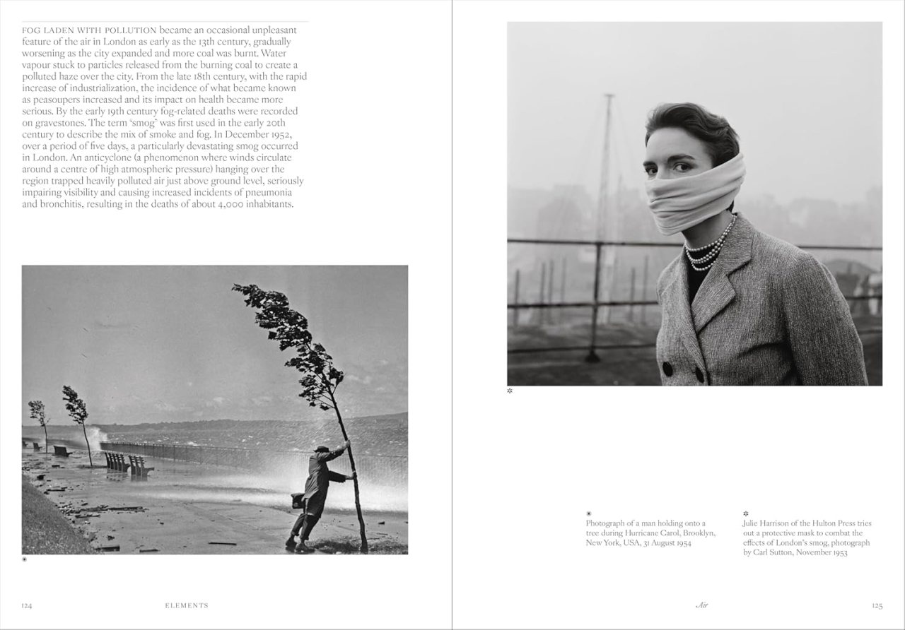 Elements by Stephen Ellcock | Waterstones