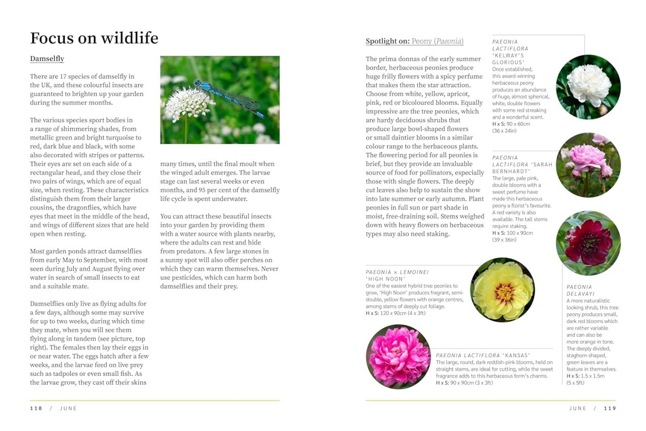 RHS The Garden Almanac 2025 by Royal Horticultural Society, Angie Lewin ...