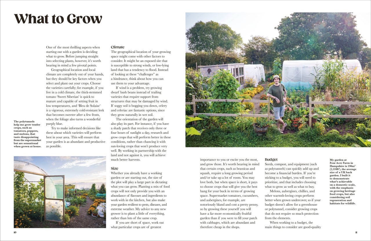 The Seed Hunter by Mitch McCulloch | Waterstones