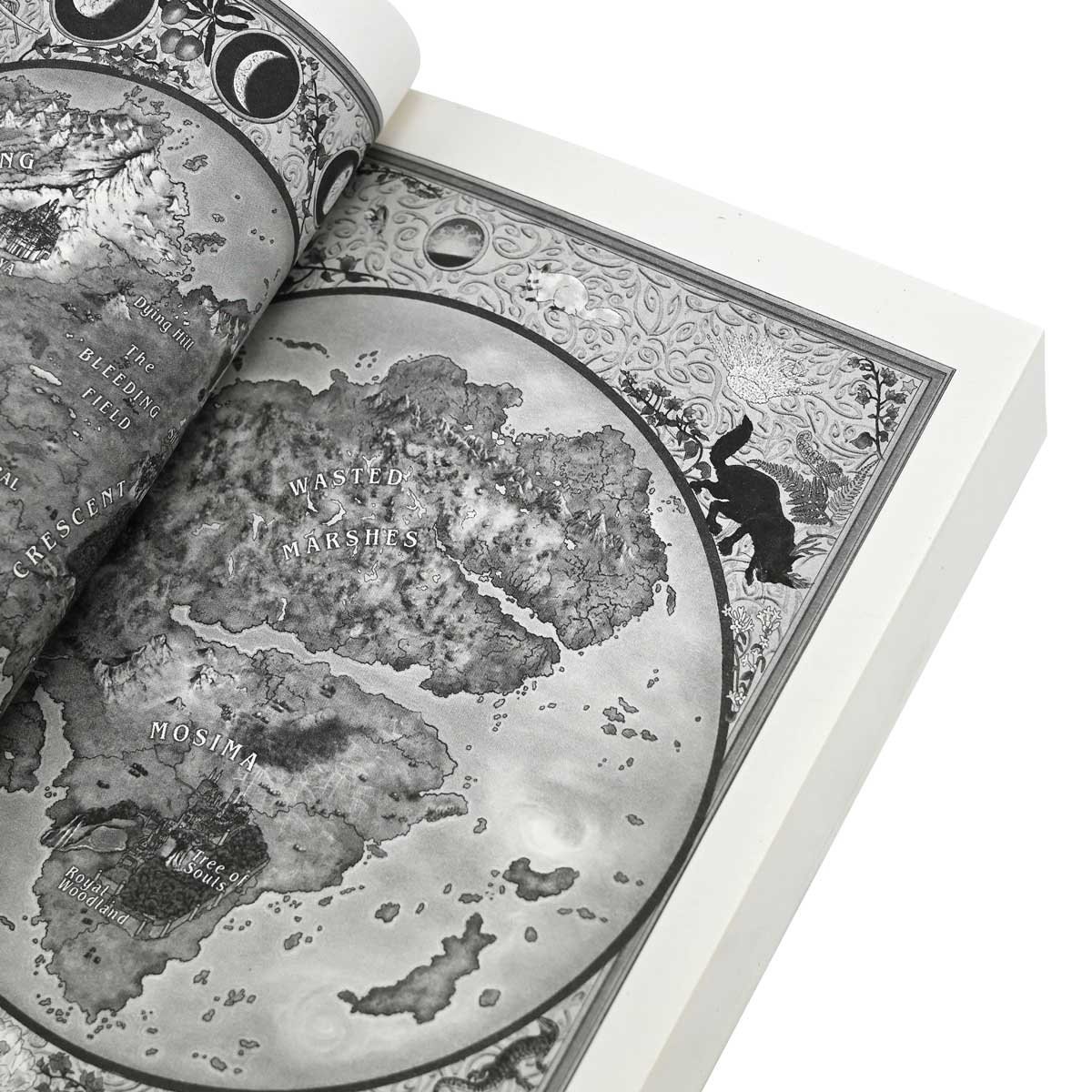 Faebound by Saara El-Arifi | Waterstones