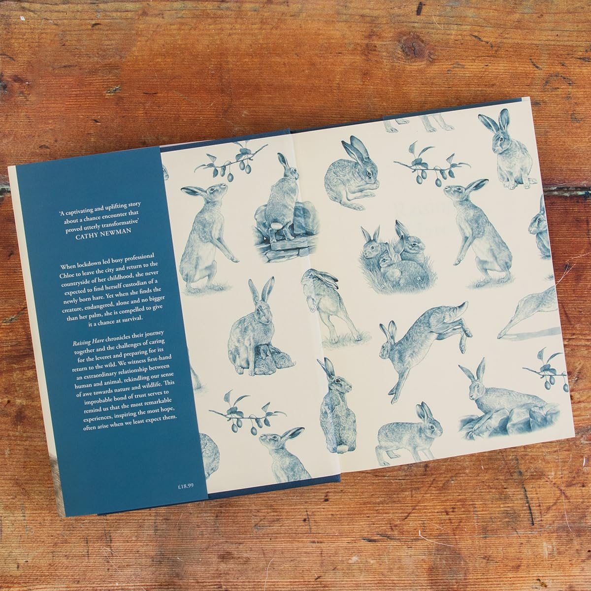 Raising Hare by Chloe Dalton | Waterstones