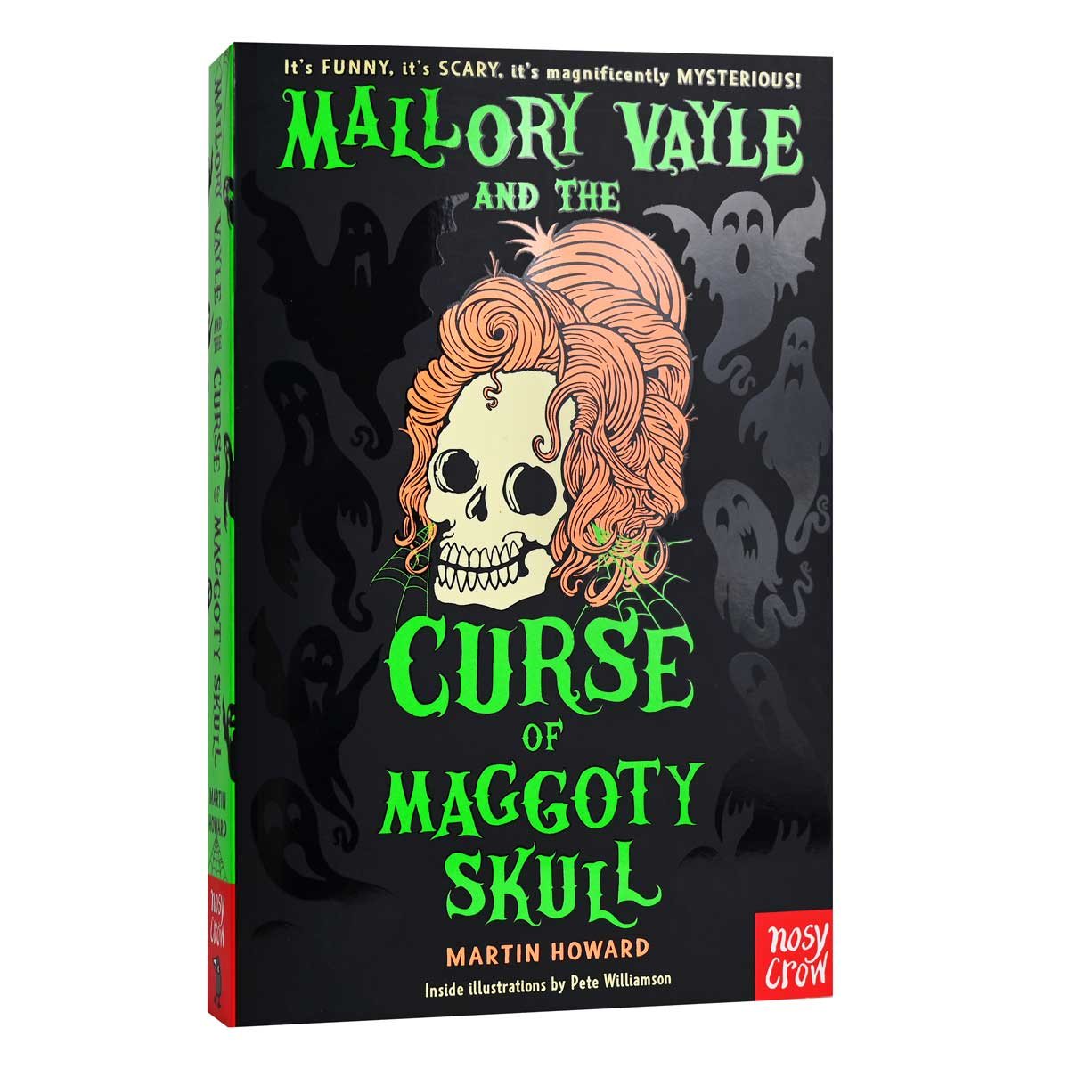 Mallory Vayle and the Curse of Maggoty Skull by Dr Martin Howard, Pete ...
