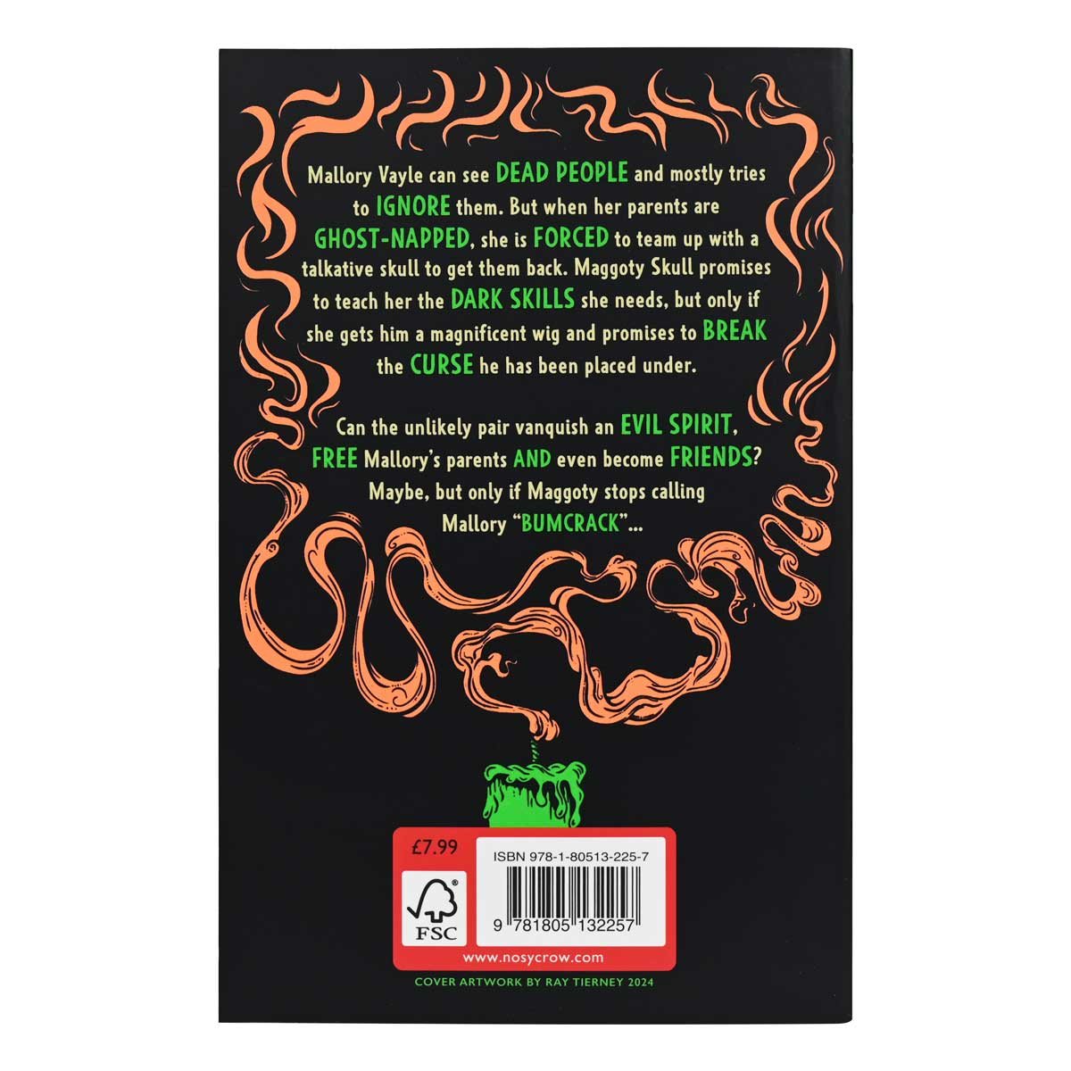 Mallory Vayle and the Curse of Maggoty Skull by Dr Martin Howard, Pete ...