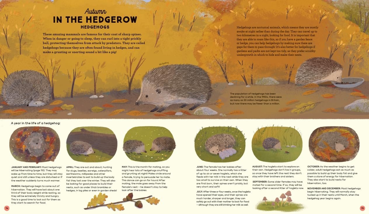 National Trust: A Story of the Seasons by Anna Wilson, Carolina Rabei ...