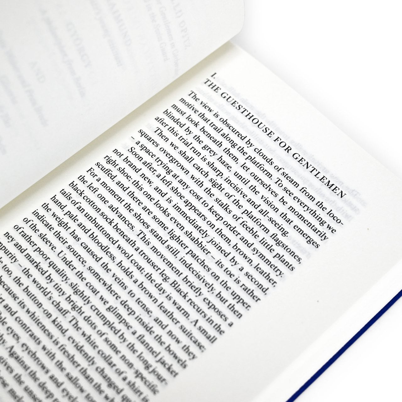 The Empusium by Olga Tokarczuk, Antonia Lloyd-Jones | Waterstones