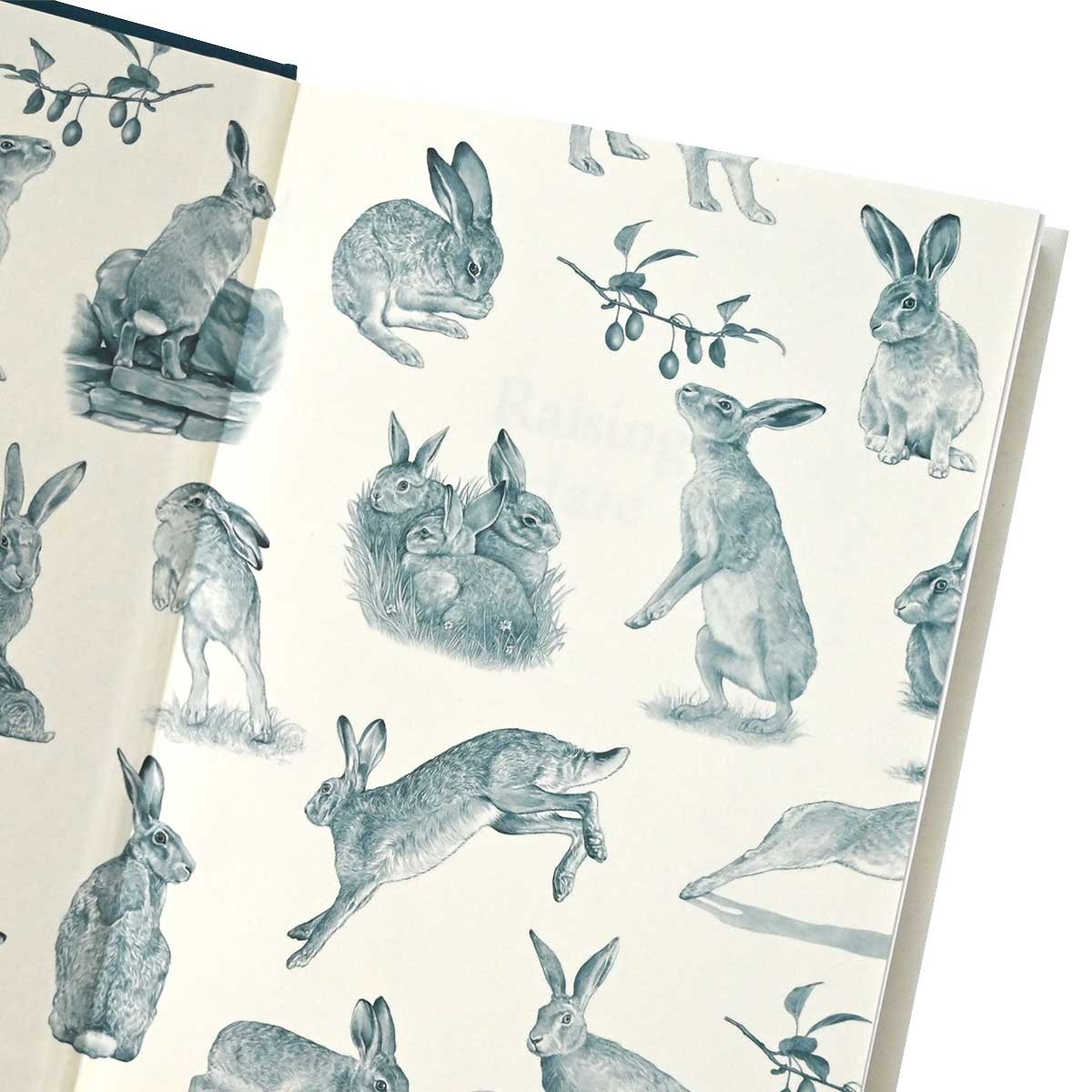 Raising Hare by Chloe Dalton | Waterstones